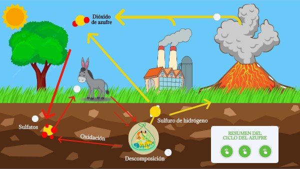 CICLO DEL AZUFRE