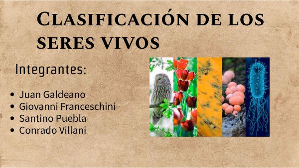 Giovanni Franceschini, Conrado Villani, Juan Galdeano y Santino Puebla