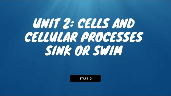 Unit 2 Sink or Swim review | Genially
