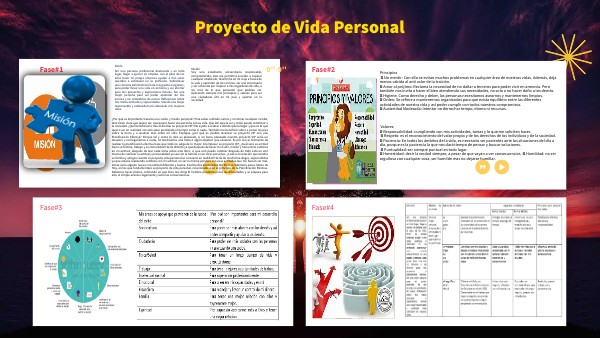 PROYECTO VIP