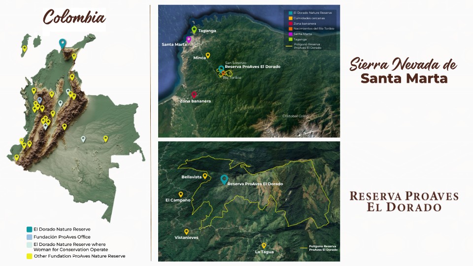 Mapa - El Dorado Interactivo | Genially