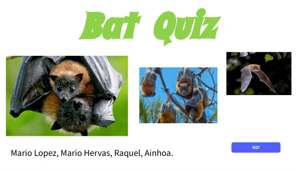 Bat quiz | Genially