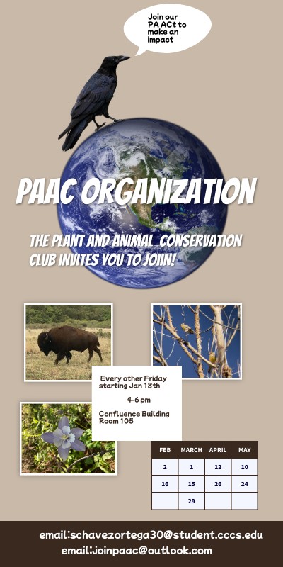 PAAC Flyer | Genially