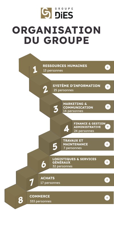 La gouvernance - Organisation du groupe | Genially