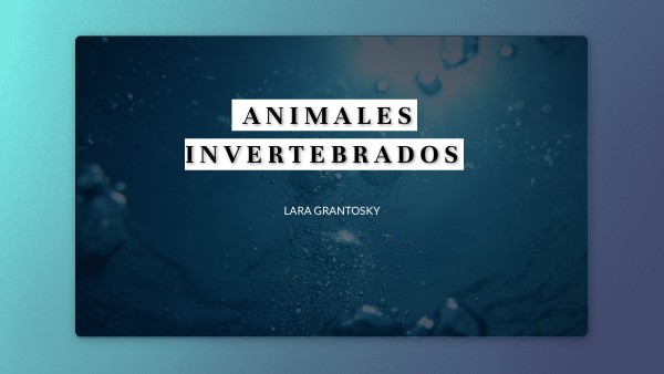 animales invertebrados