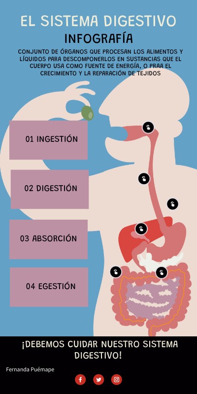 INFOGRAFÍA SISTEMA DIGESTIVO | Genially