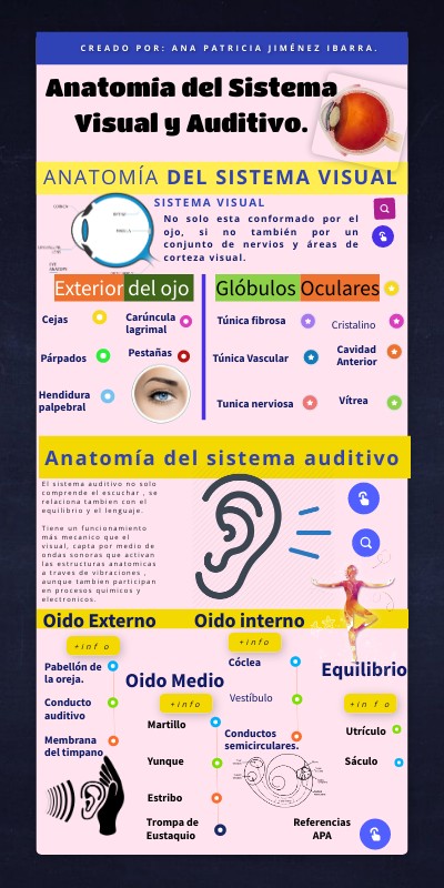 Anatomía del Sistema Visual y Auditivo | Genially