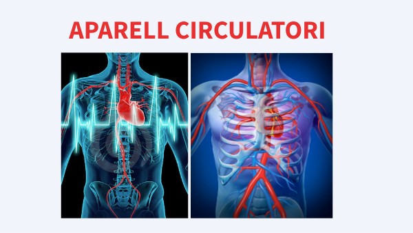 APARELL CIRCULATORI