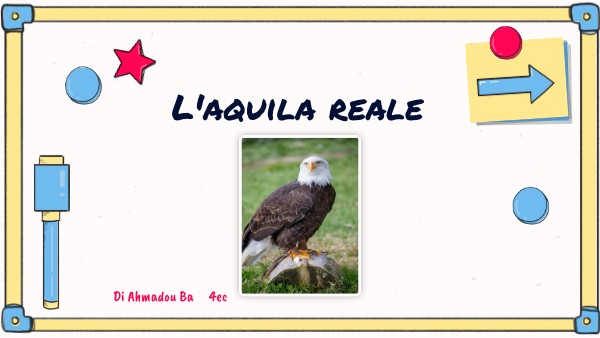 l'aigle royale solo ouuuuu | Genially