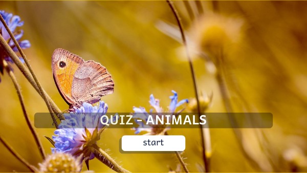 PASTEL QUIZ