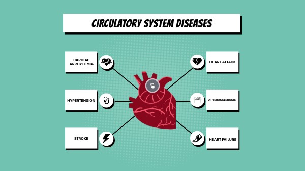 CARDIOVASCULAR DISEASES | Genially