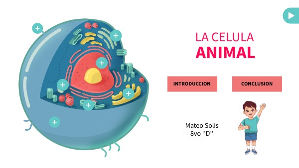 CELULA EUCARIOTA - MATEO SOLIS