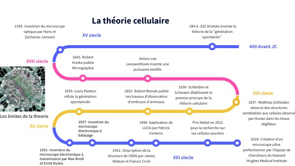 La theorie Cellulaire | Genially