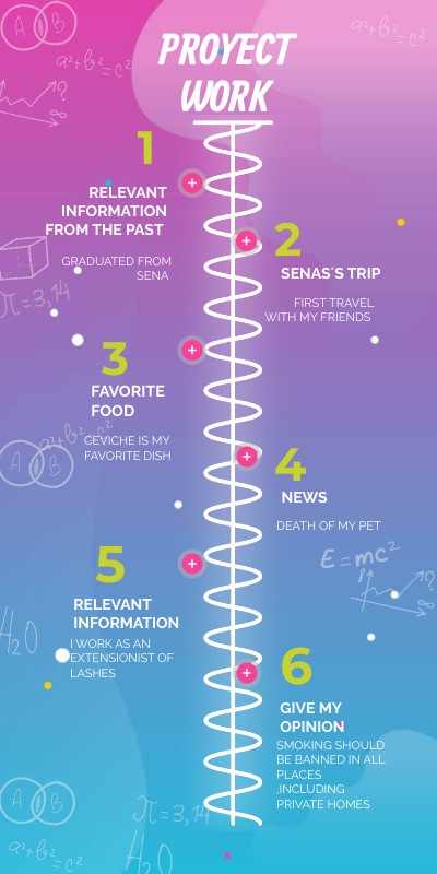 TIMELINE PROYECT WORK