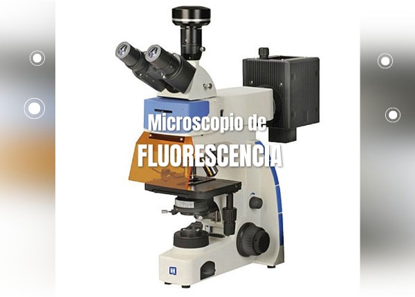 Microscopio Fluorescencia