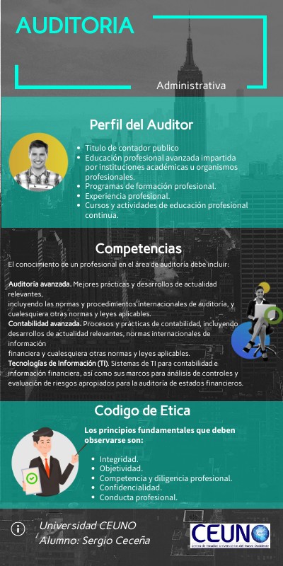 Perfil del Auditor | Genially