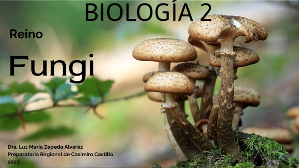 Reino Fungi | Genially
