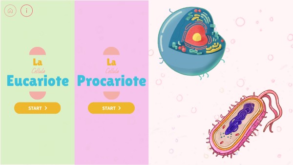 La cellula Eucariote e Procariote Orioli 2DLA