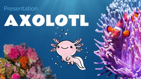 AXOLOTL PRESENTATION | Genially