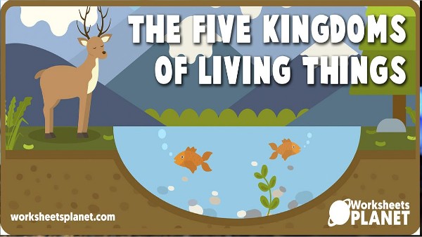 5 kingdoms of living things | Genially
