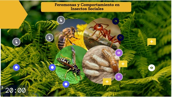 “Feromonas y Comportamiento en Insectos Sociales” | Genially