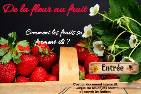 fleur et fruit | Genially