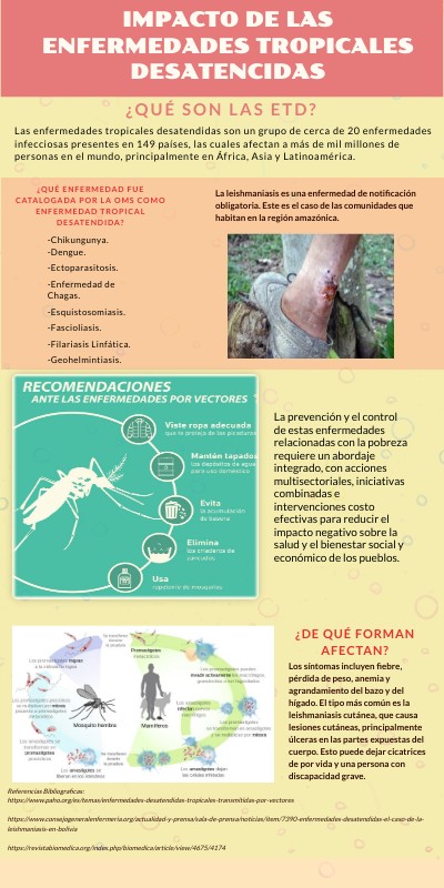 INFO VERTICAL CÉLULAS