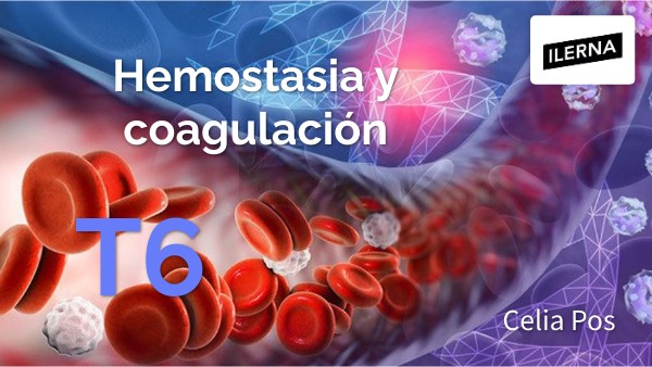 T6 Hematología | Genially