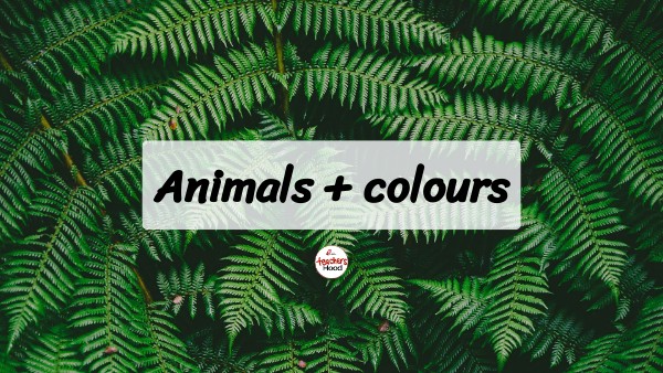 animals + colours | Genially