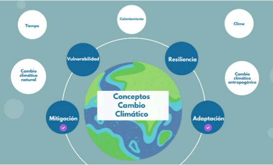 CCV CONCEPTOS CC | Genially