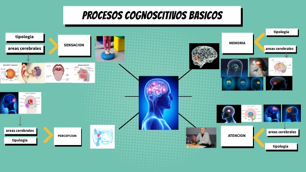 PROCESOS COGNOSCITIVOS BASICOS