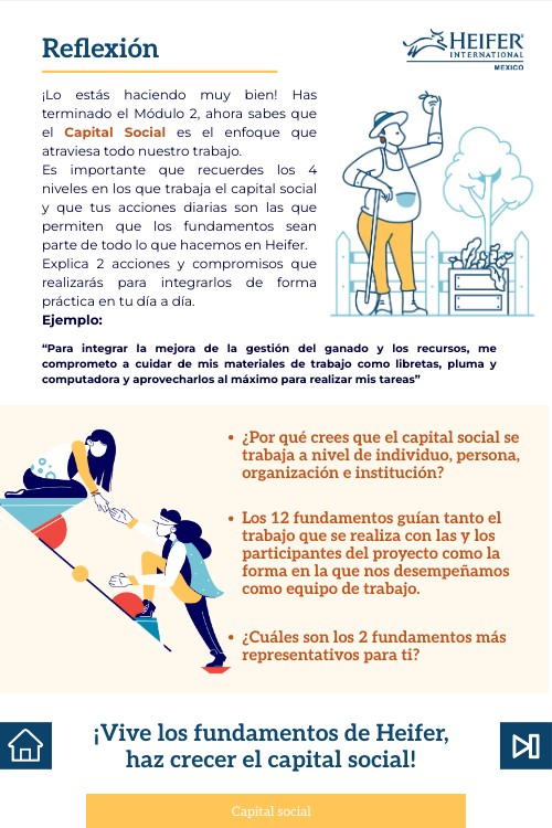Heifer_M2_Reflexion