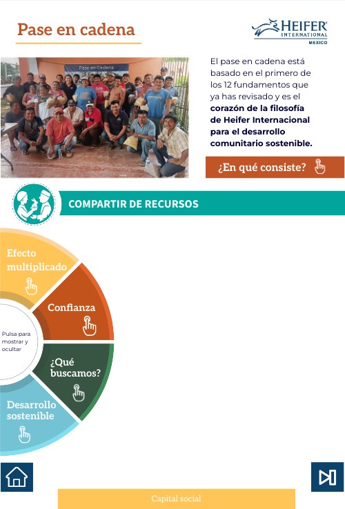 Heifer_M2_L3 | Genially