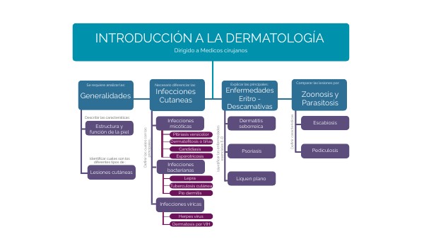 MAPA MENTAL ESQUEMA VERTICAL