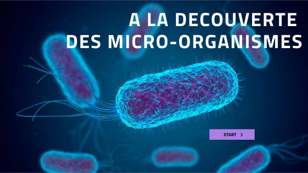 Qu'est-ce qu'un micro-organisme?
