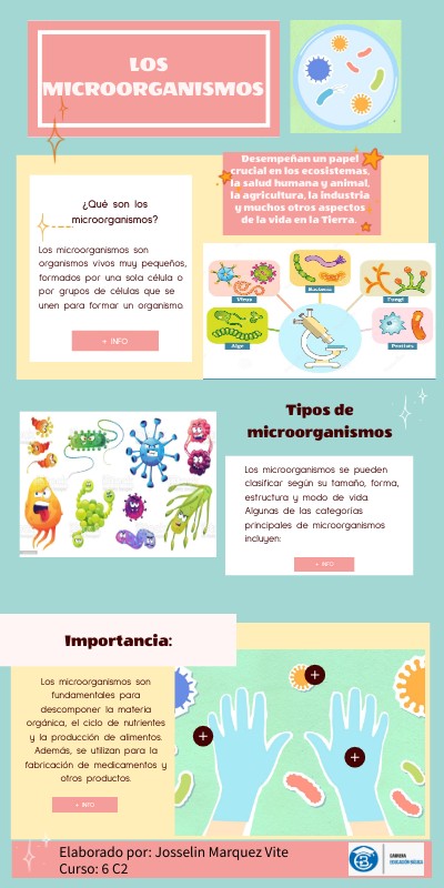 INFOGRAFÍA LOS MICROORGANISMOS | Genially