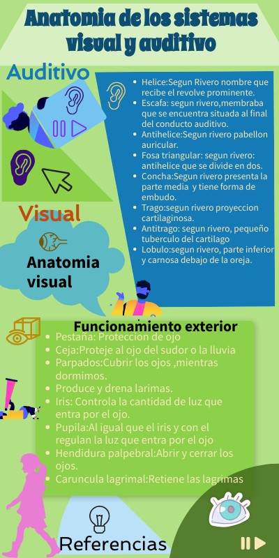 Anatomio de los sistemas auditivo y visual | Genially