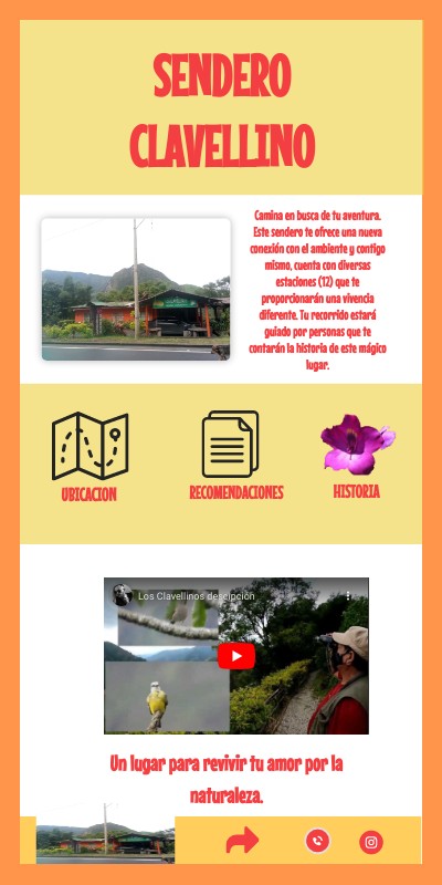 BASIC INFOGRAPHIC | Genially