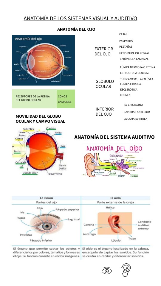 AGUIRRE_ADRIANA_R3_U2 | Genially