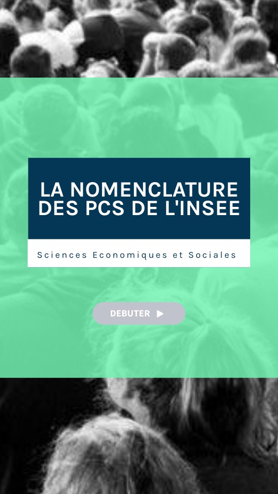 TERMINALE - Nomenclature des PCS de l'INSEE | Genially