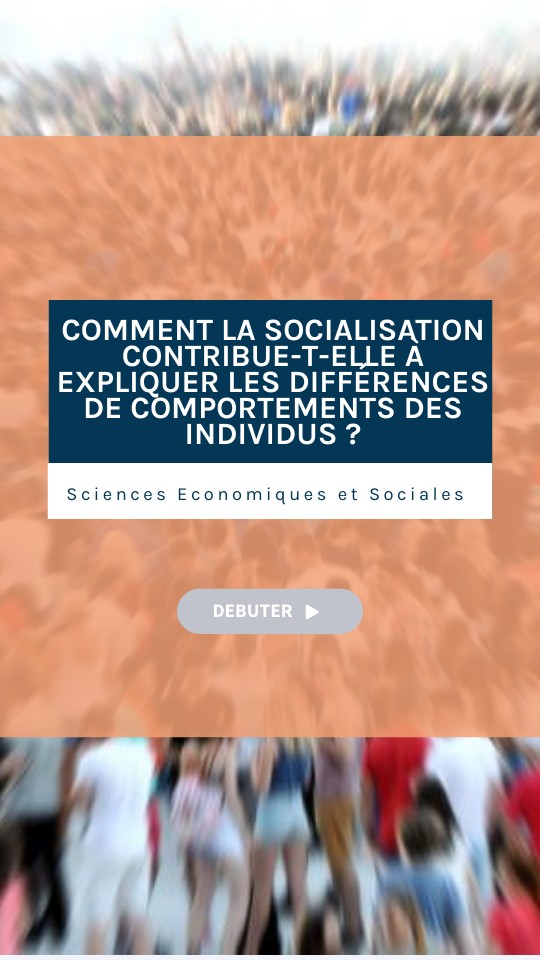 PREMIERE - Exercices du chapitre "Socialisation" | Genially