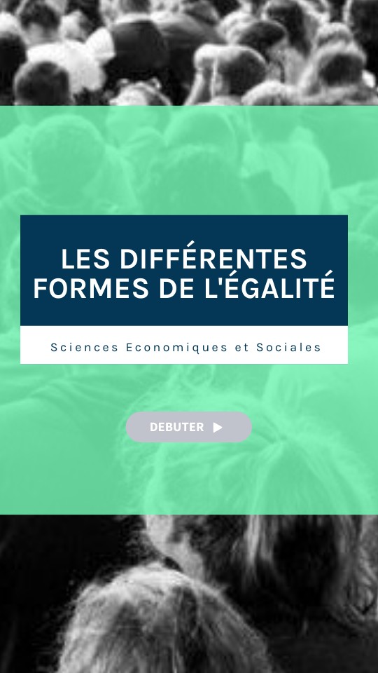 TERMINALE - Différentes formes d'égalité