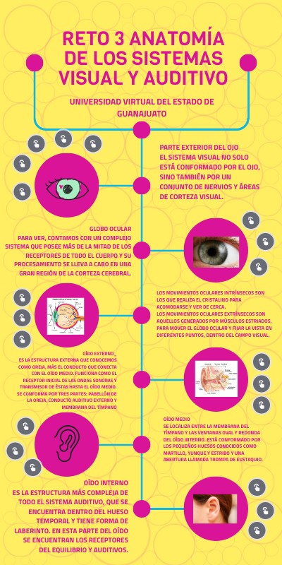 ANÁTOMIA DE SISTEMAS DEL OÍDO Y VISIÓN