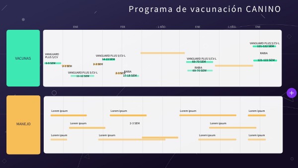 ROADMAP | Genially