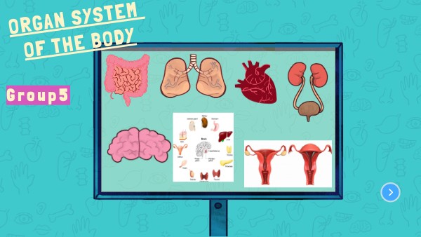 Organ system gp5
