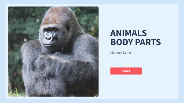 Find the pairs (animals)