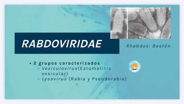 Rhabdovirus y Filovirus