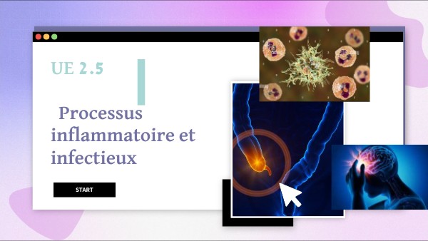 Présentation UE 2.5 | Genially