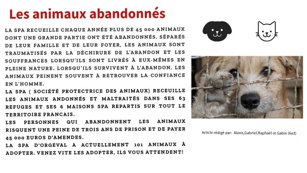 article la maltraitance animale / gabriel, gabin, alexis et raphael | Genially