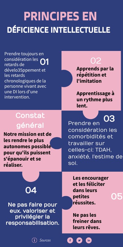 Principes en déficience intellectuelle | Genially
